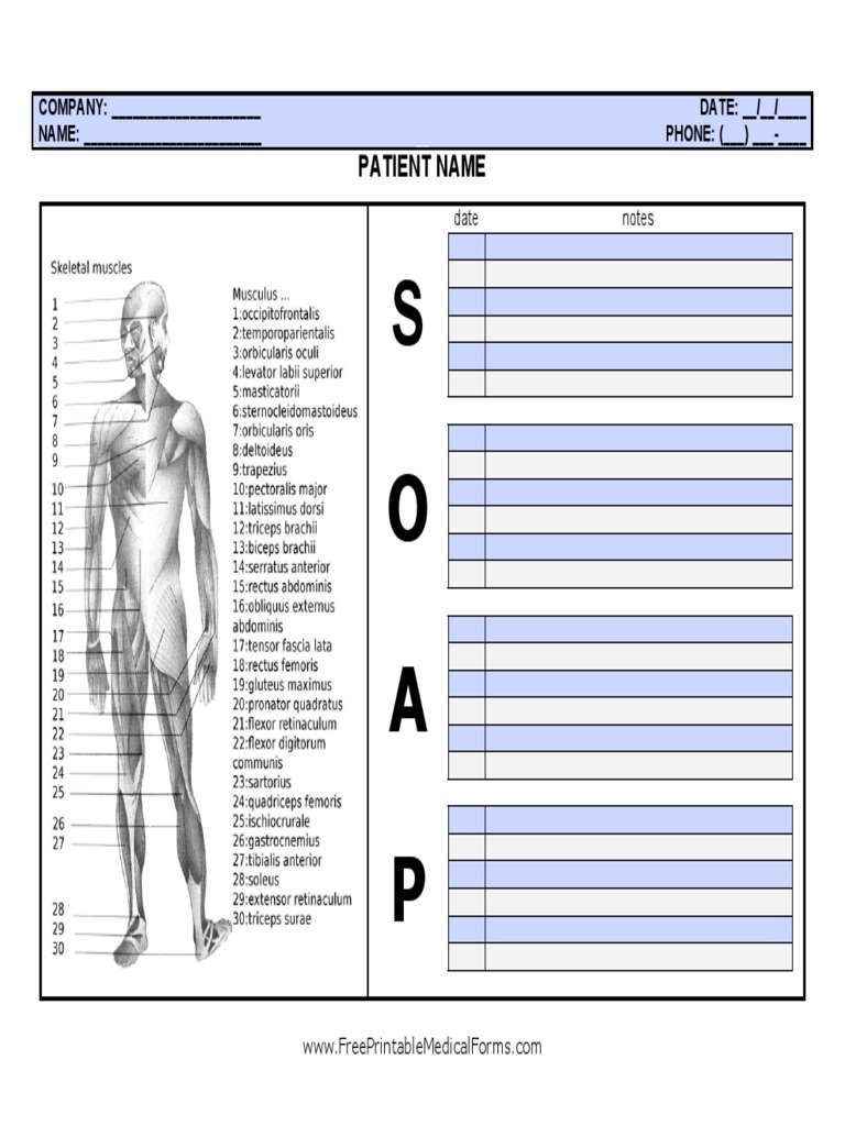 SOAP Note With Body PDF | PDF
