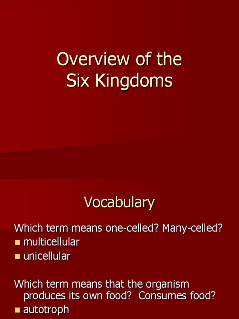 Overview of The 6 Kingdoms | PDF | Archaea | Bacteria