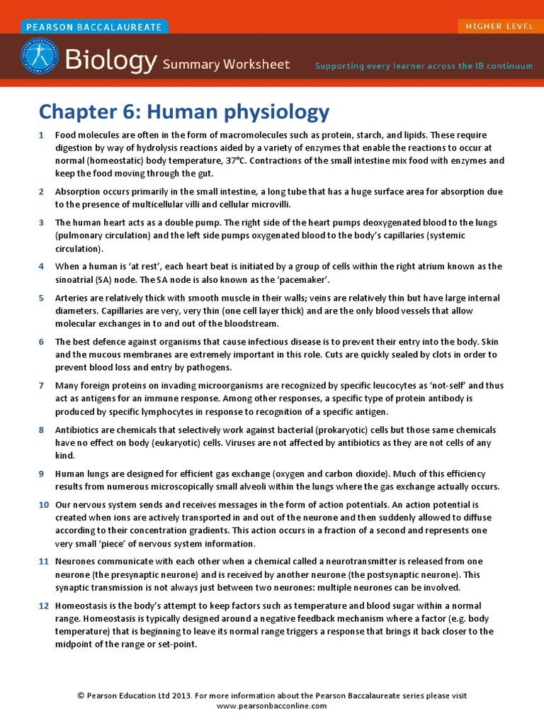Chapter 6: Human Physiology | PDF | Small Intestine | Chemical Synapse