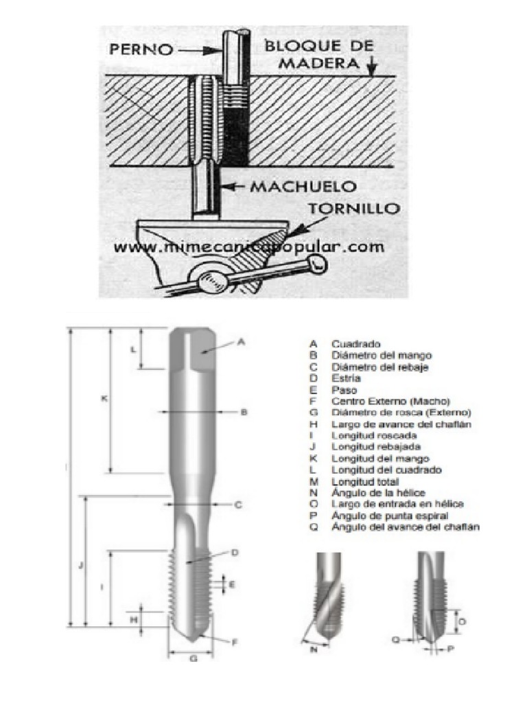 Partes de Un Machuelo
