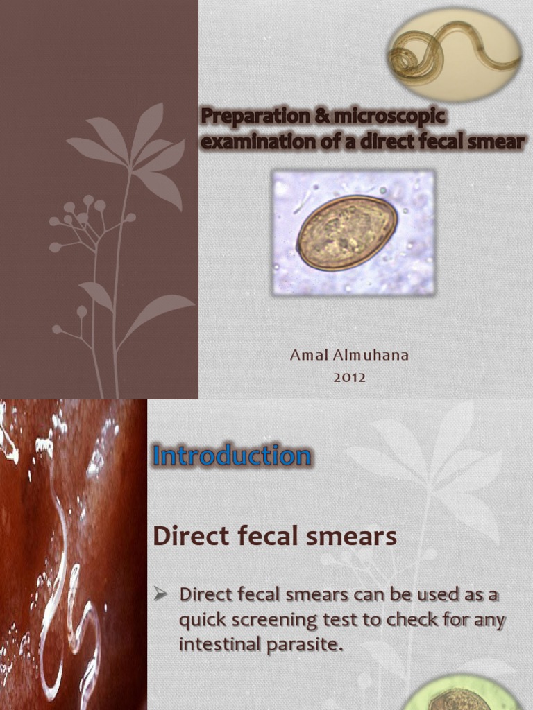 Direct Fecal Smear 3 | PDF | Staining | Feces