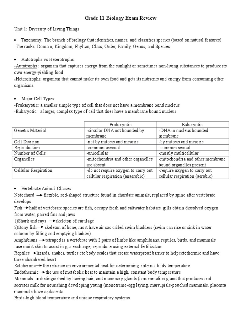 Grade 11 Biology Exam Review Guide | PDF | Meiosis | Heart