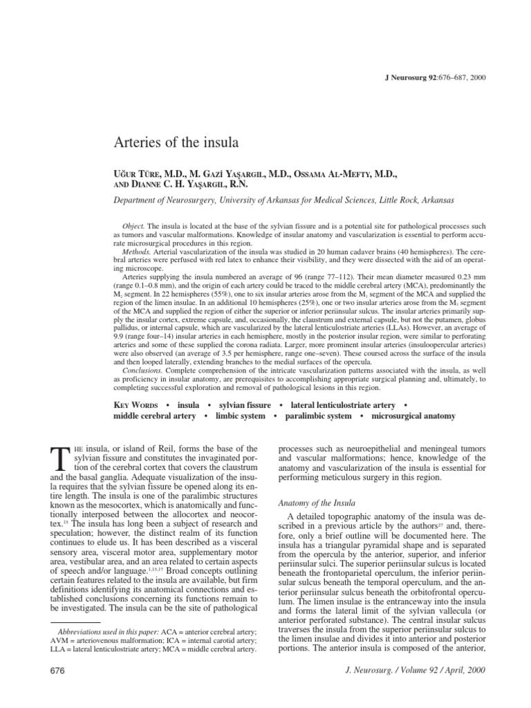Anatomy and Vascularization of the Insula | PDF | Insular Cortex ...
