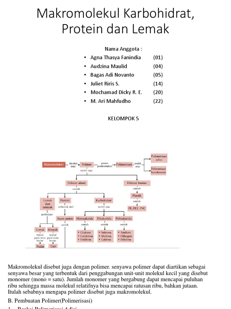 Struktur dan Fungsi Makromolekul | PDF