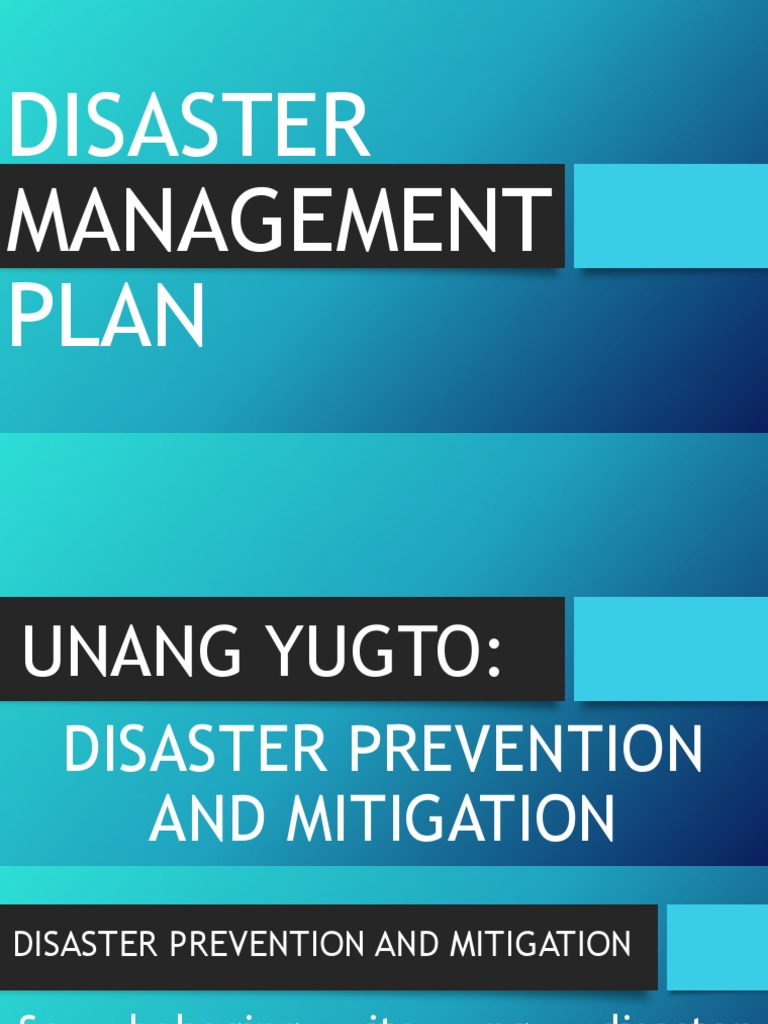 Disaster Management Plan | PDF