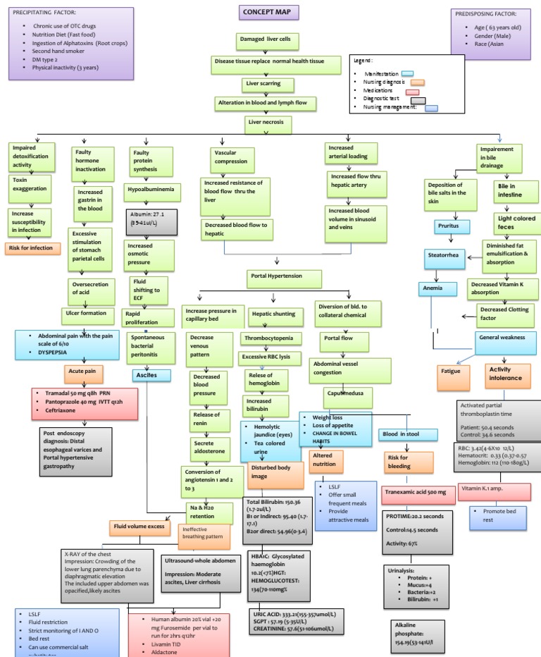 Concept Map Liver Cirrhosisss | Liver | Cirrhosis