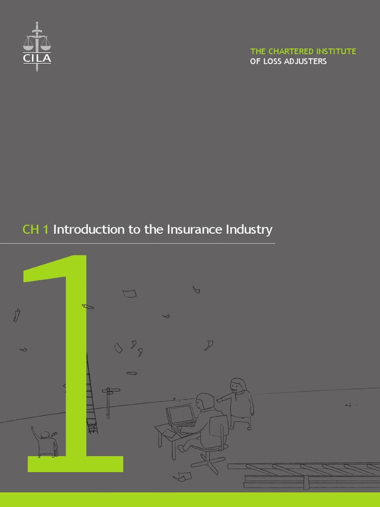 Intro2Insurance Industry | PDF | Insurance | Risk