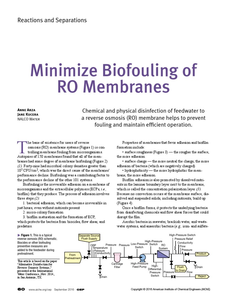 Minimize Biofouling of RO Membranes: Reactions and Separations | Download Free PDF | Chlorine ...
