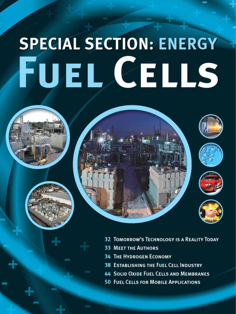 Special Section:: Cells | PDF | Fuel Cell | Hydrogen Economy