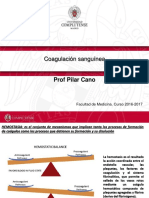 Profilaxis Neonatal: Ojos, Vitamina K y Cordón | PDF | Parto ...