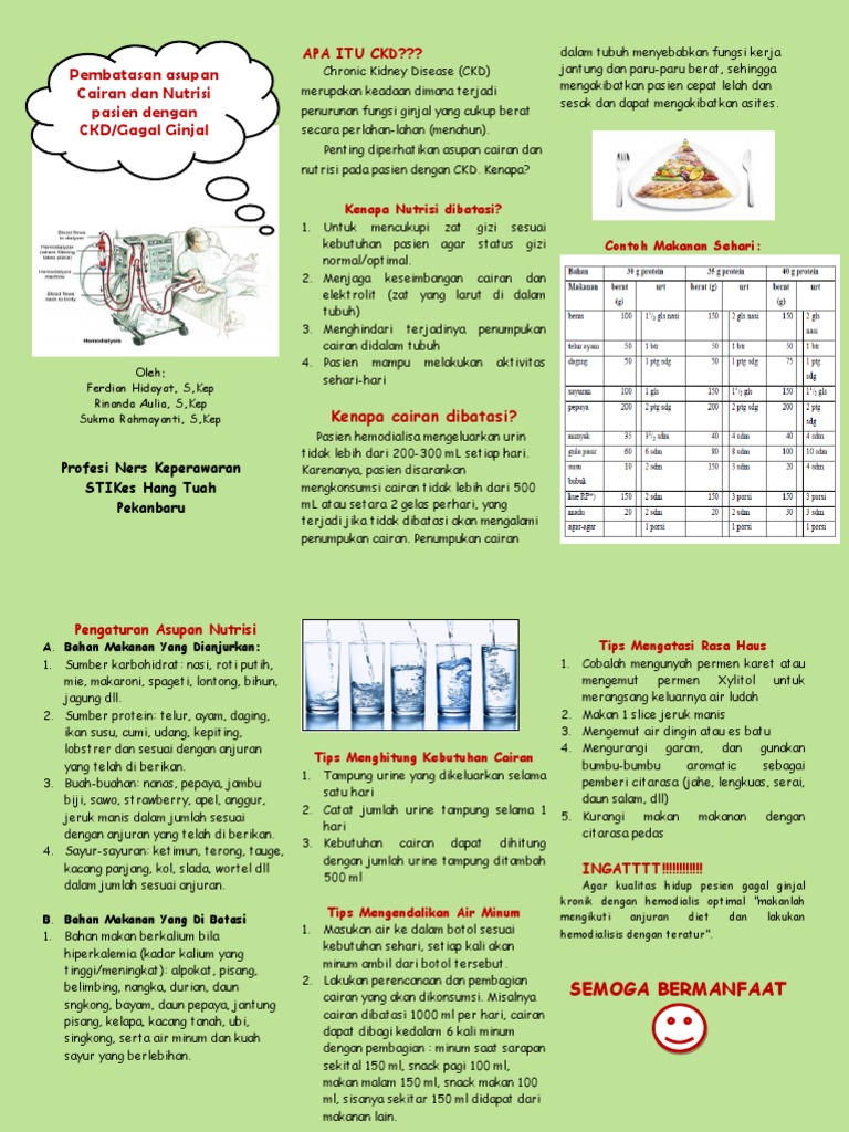 FIX Leaflet CKD Kelompok 3 | PDF