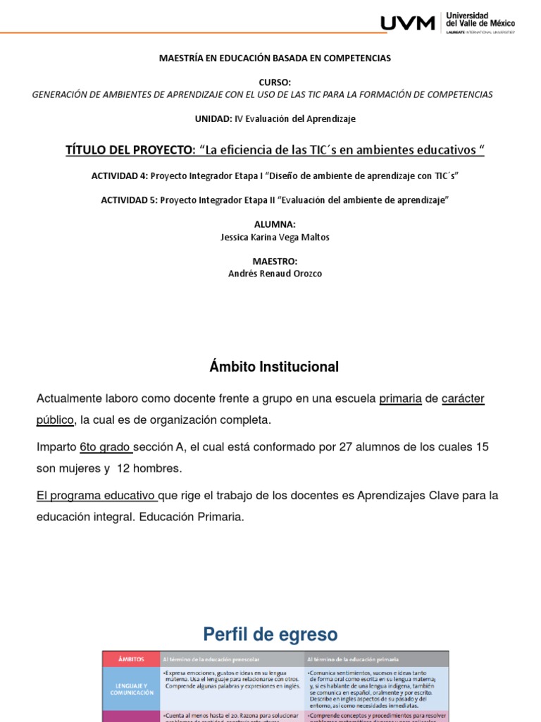 Proyecto Integrador | PDF | Maestros | Educación primaria