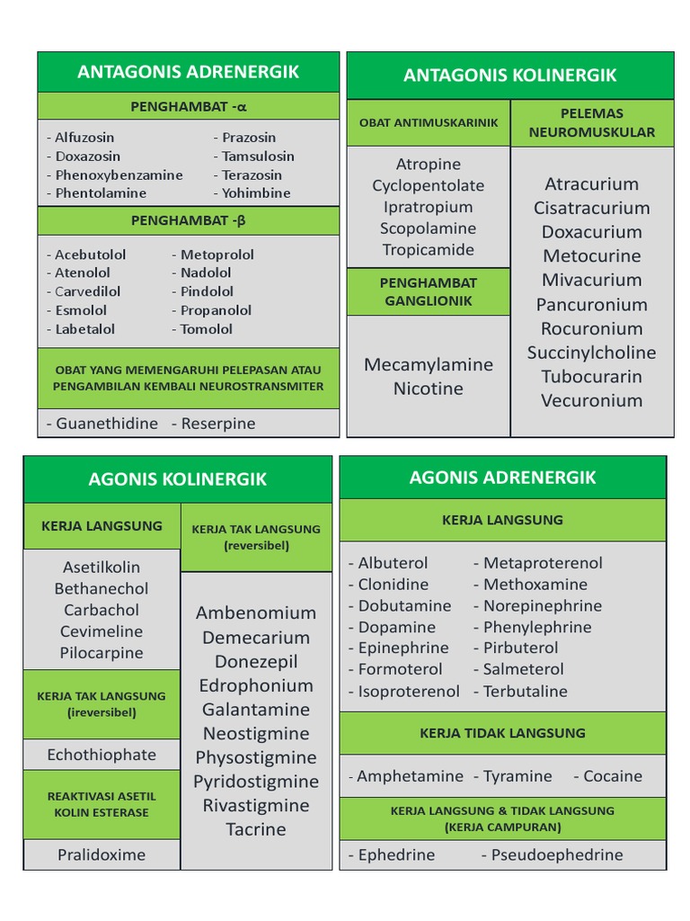 Hafalan Obat | PDF | Hydrogen Compounds | Drugs Acting On The Nervous ...