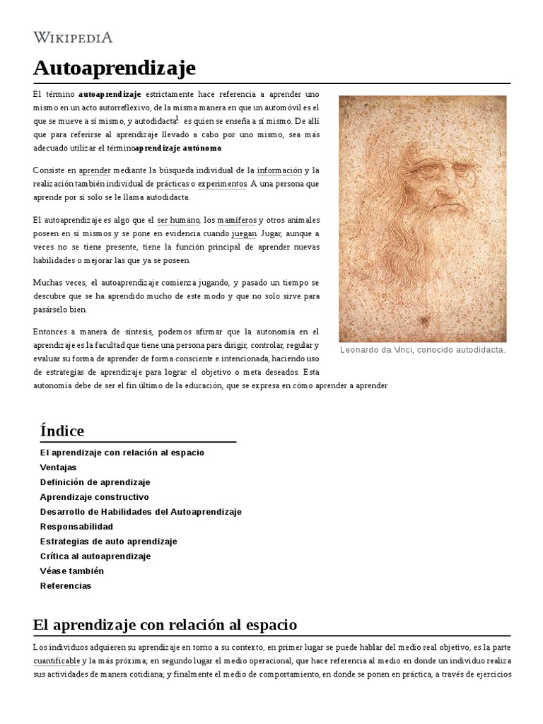 Autoaprendizaje | PDF | Aprendizaje | Cognición