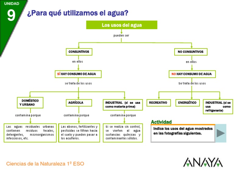 Los Usos Del Agua | PDF