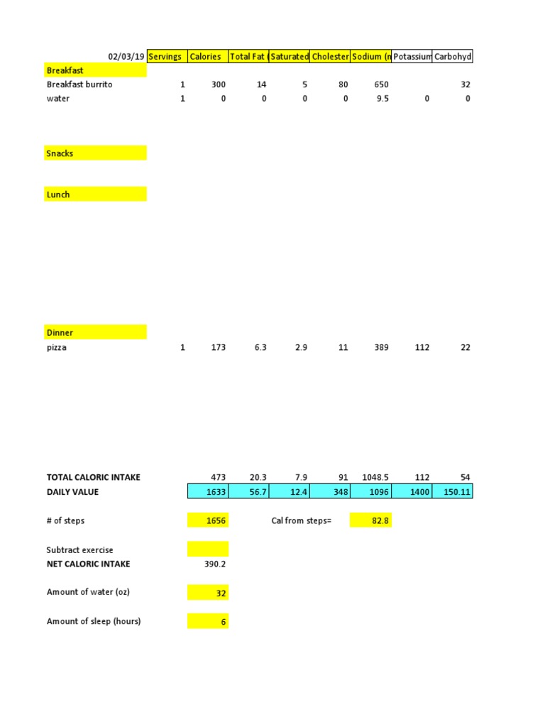 Foodlogtemplate 02 03 - Sheet1 | PDF