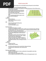 Key Cricket Skills and Techniques Guide | PDF | Bowling (Cricket ...