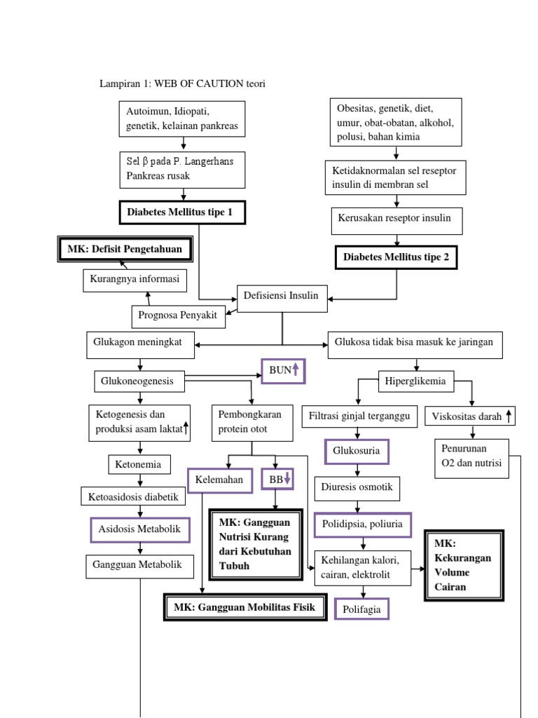 WEB OF CAUTION DM Fix | PDF