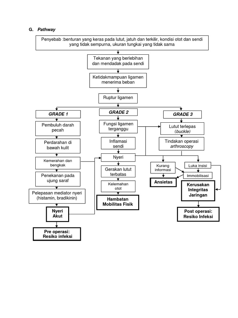 Pathway Ruptur Acl | PDF