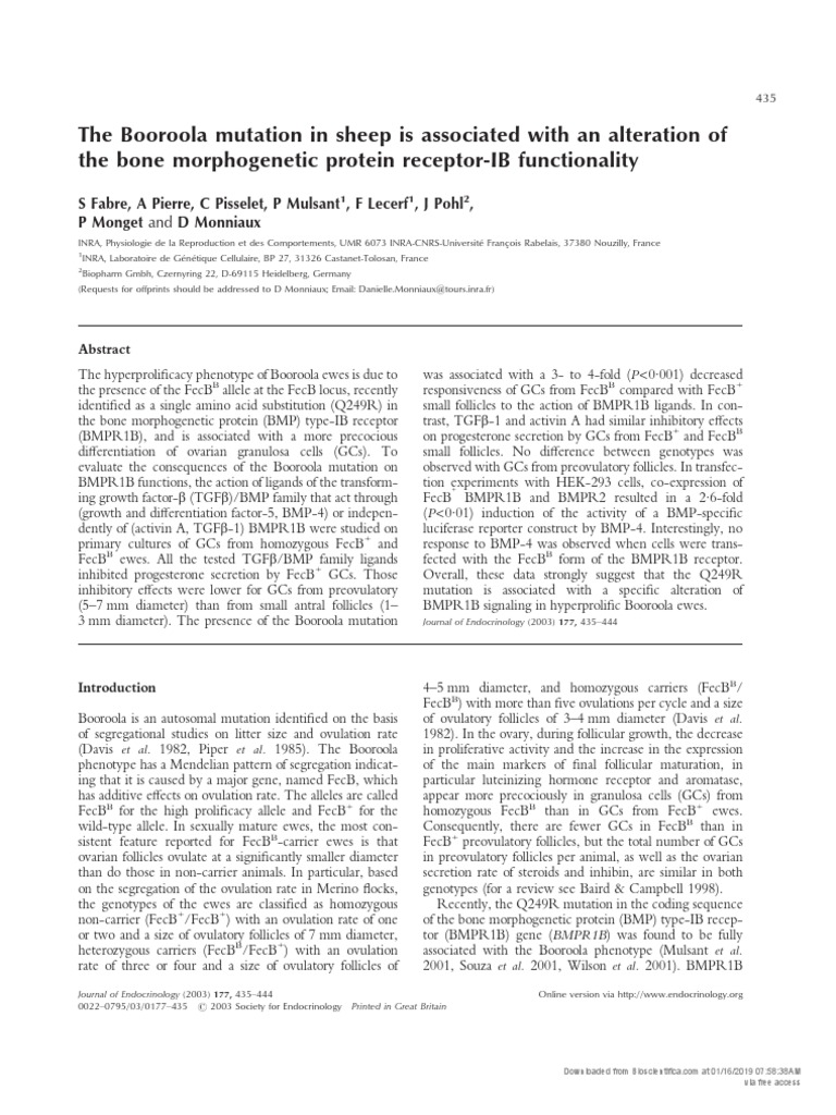 The Booroola Mutation in Sheep Is Associated With An Alteration of The ...