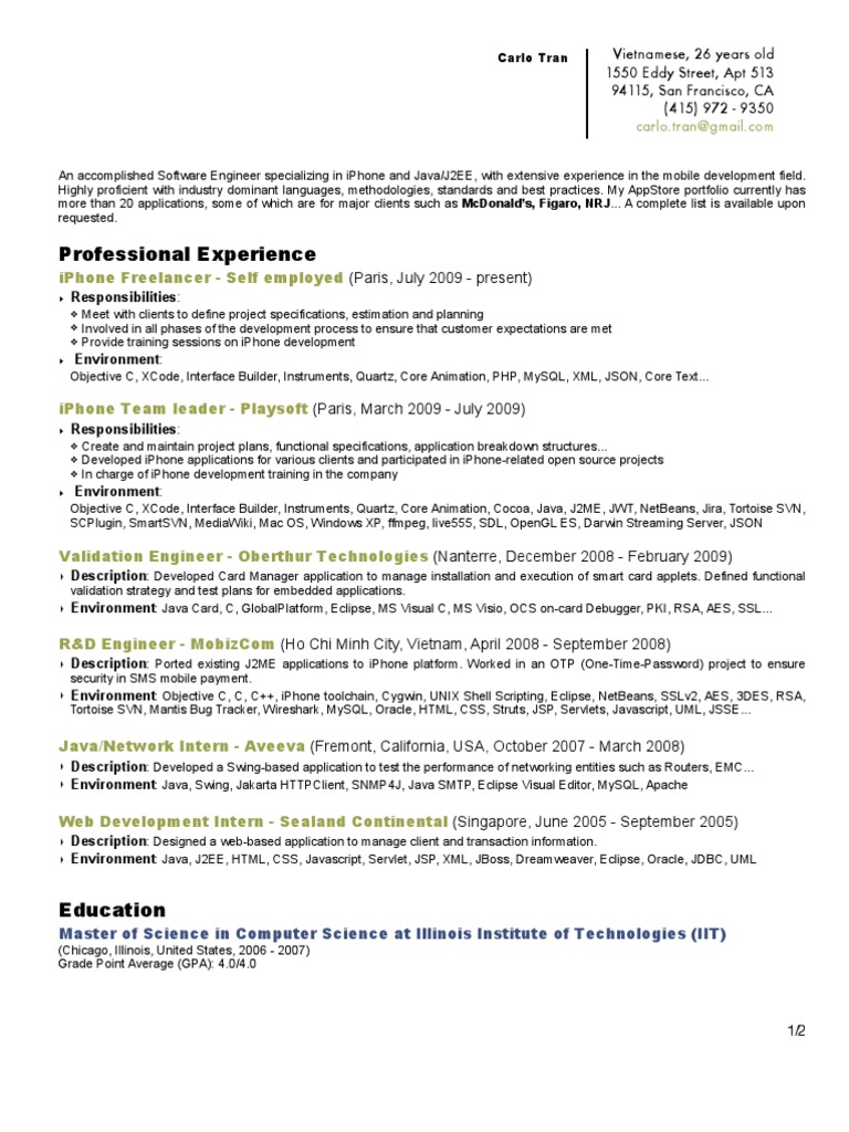 Carlo Tran CV en Simple | Download Free PDF | Net Beans | Applications & Software