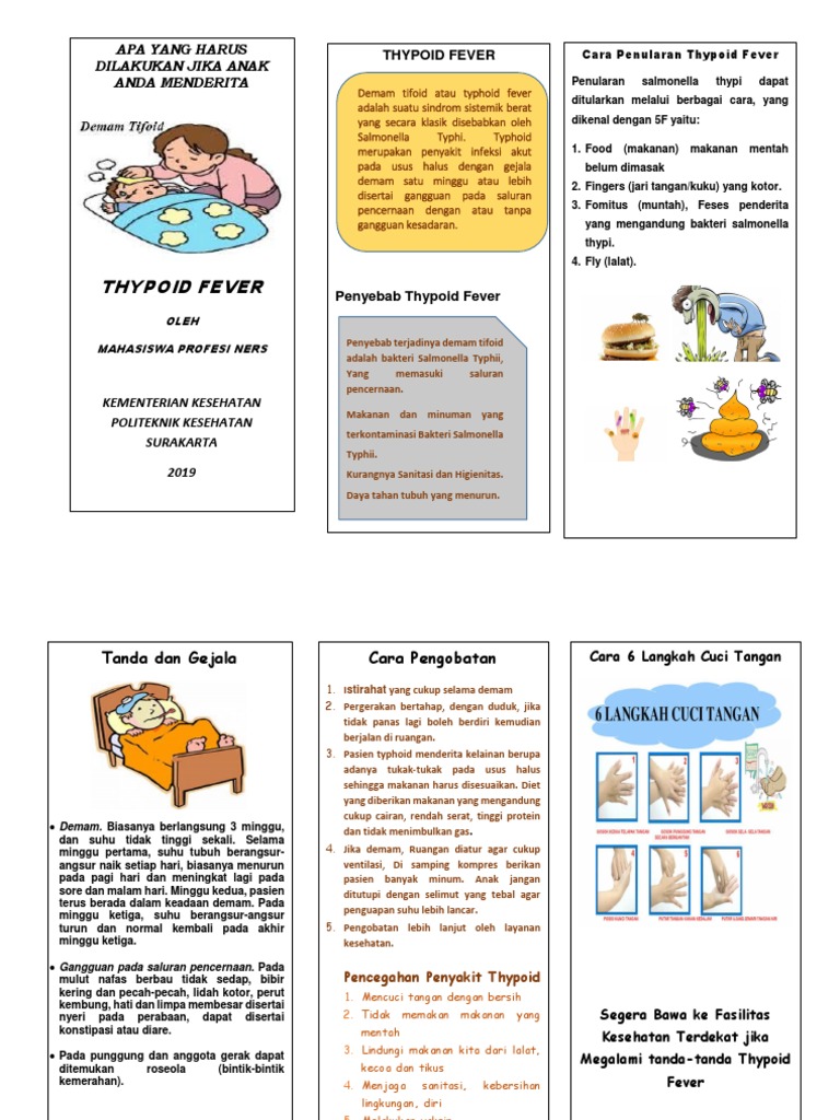 Leaflet Thypoid | PDF | Kesehatan Holistik