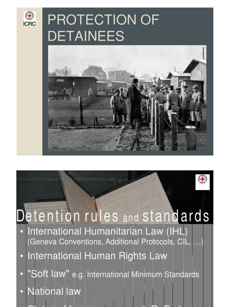 Microsoft Powerpoint - Seats 17 Protection of Detainees Final | PDF ...