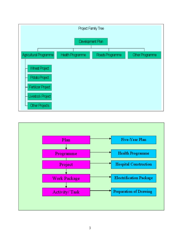 Project Family Tree: Plan Programme Project Work Package Activity/ Task ...