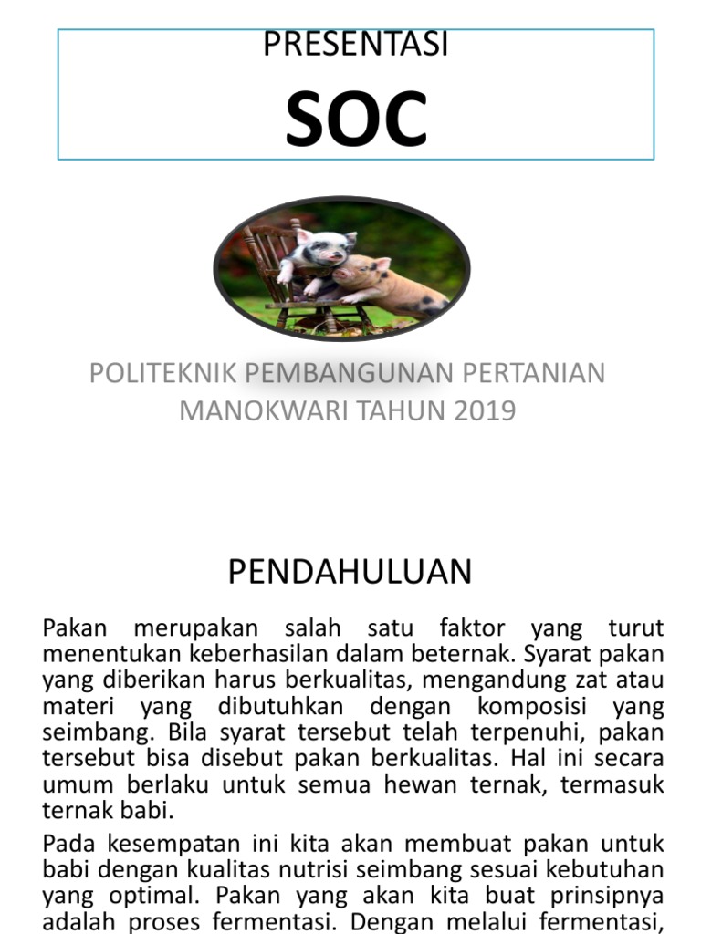 Presentasi Pakan Ternak Babi | PDF