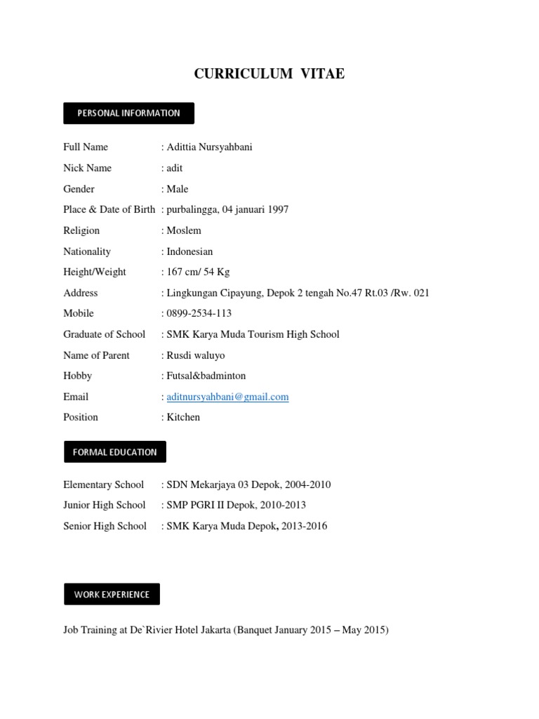 Curriculum Vitae: Personal Information | PDF