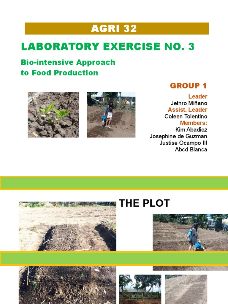 Exer 3 | PDF | Crop Rotation | Vegetables