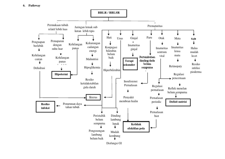 Pathway BBLR dan Nutrisi Bayi Prematur | PDF