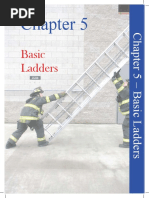 1910.23-OSHA Ladders Standards | PDF | Ladder | Nature