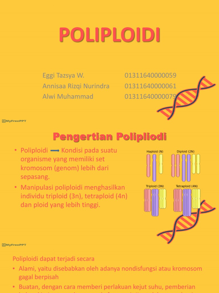 Definisi dan Contoh Poliploidi | PDF