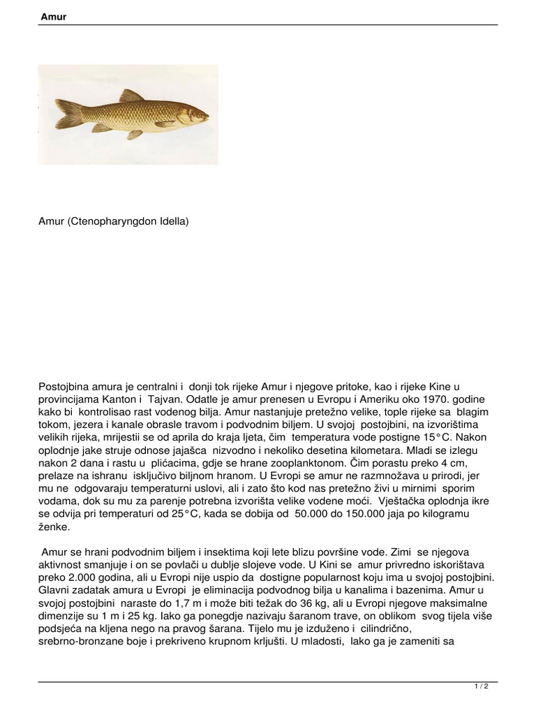 Vrste Riba PDF | PDF