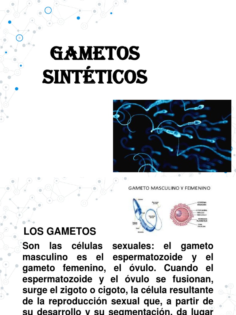 Gameto Sintético | PDF