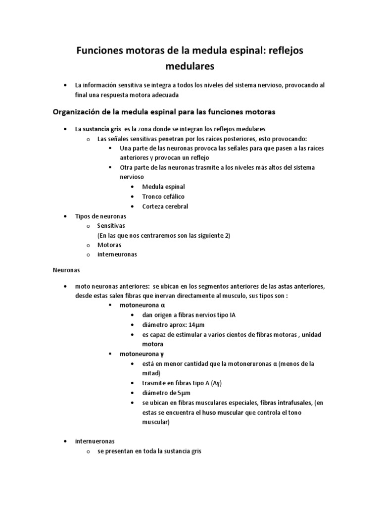 55-Funciones Motoras de La Medula Espinal | PDF | Materia gris | Neurona