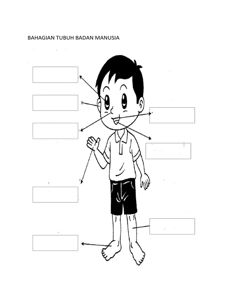 Bahagian Tubuh Badan Manusia | PDF