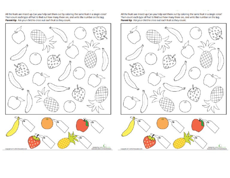 Sorting Fruits | PDF