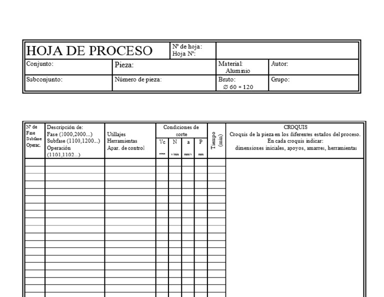 Hoja de Proceso. Formato