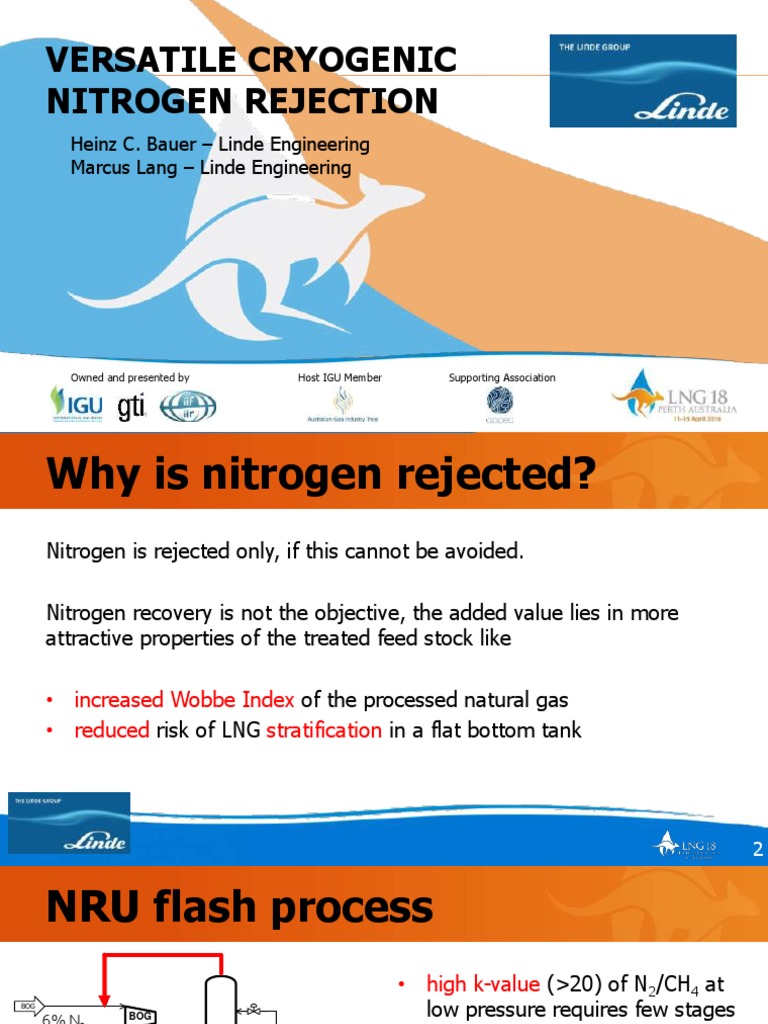 Versatile Cryogenic Nitrogen Rejection | PDF | Natural Gas | Liquefied ...