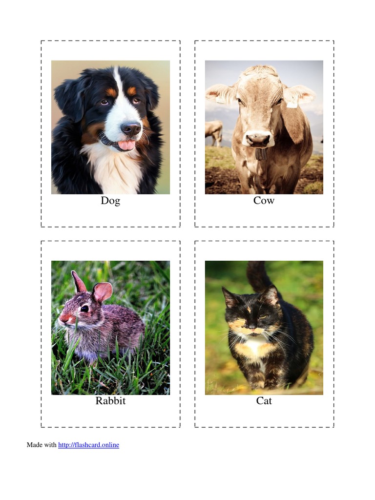 Farm Animals PDF | PDF