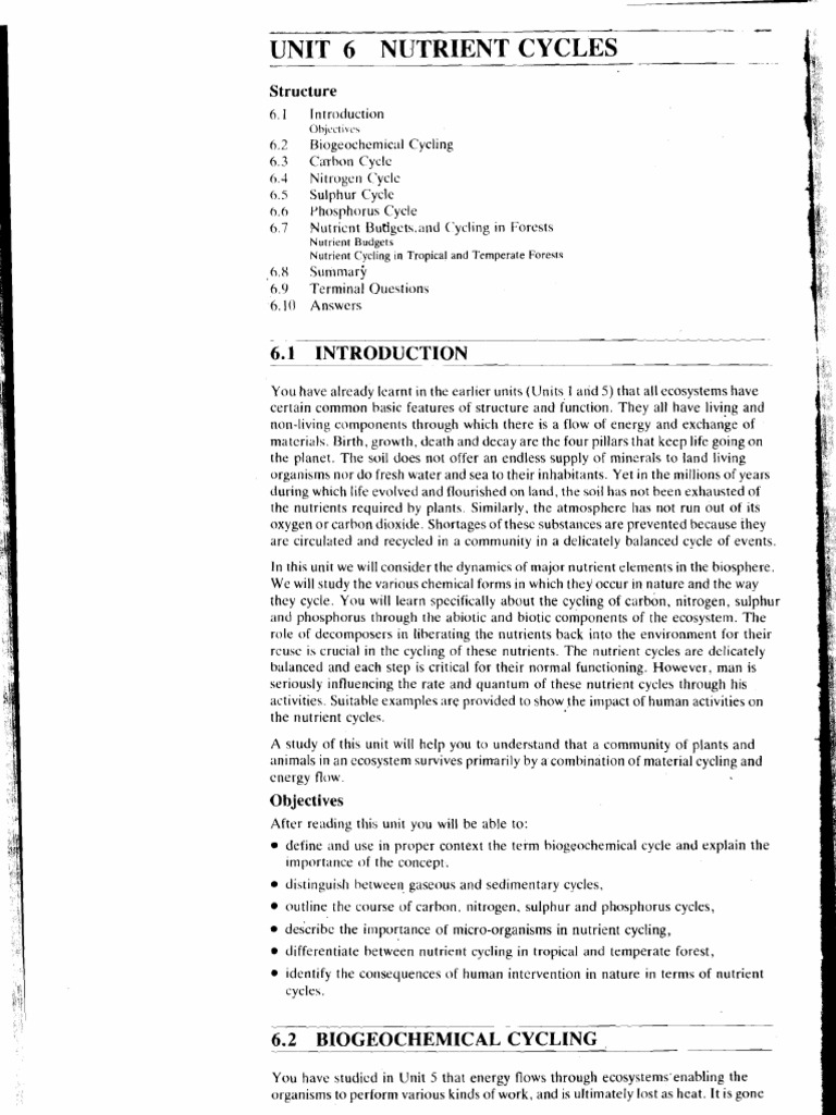 Unit 6 Nutrient: Cycles | PDF | Soil | Eutrophication