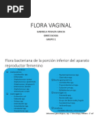 Cuadro Diferencial de Vaginosis y Vaginitis | PDF