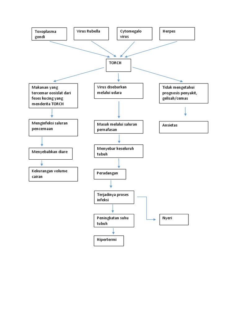 Infeksi TORCH: Gejala dan Penyebaran | PDF