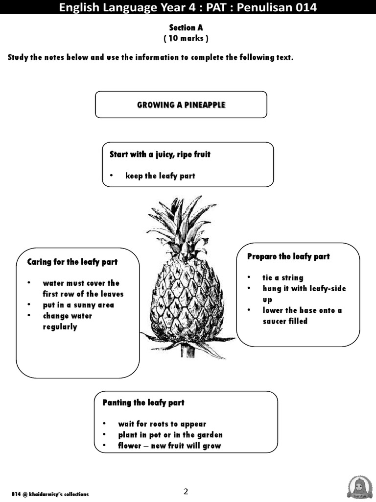 PAT Writing 014 (2) Year 4 2018 | PDF