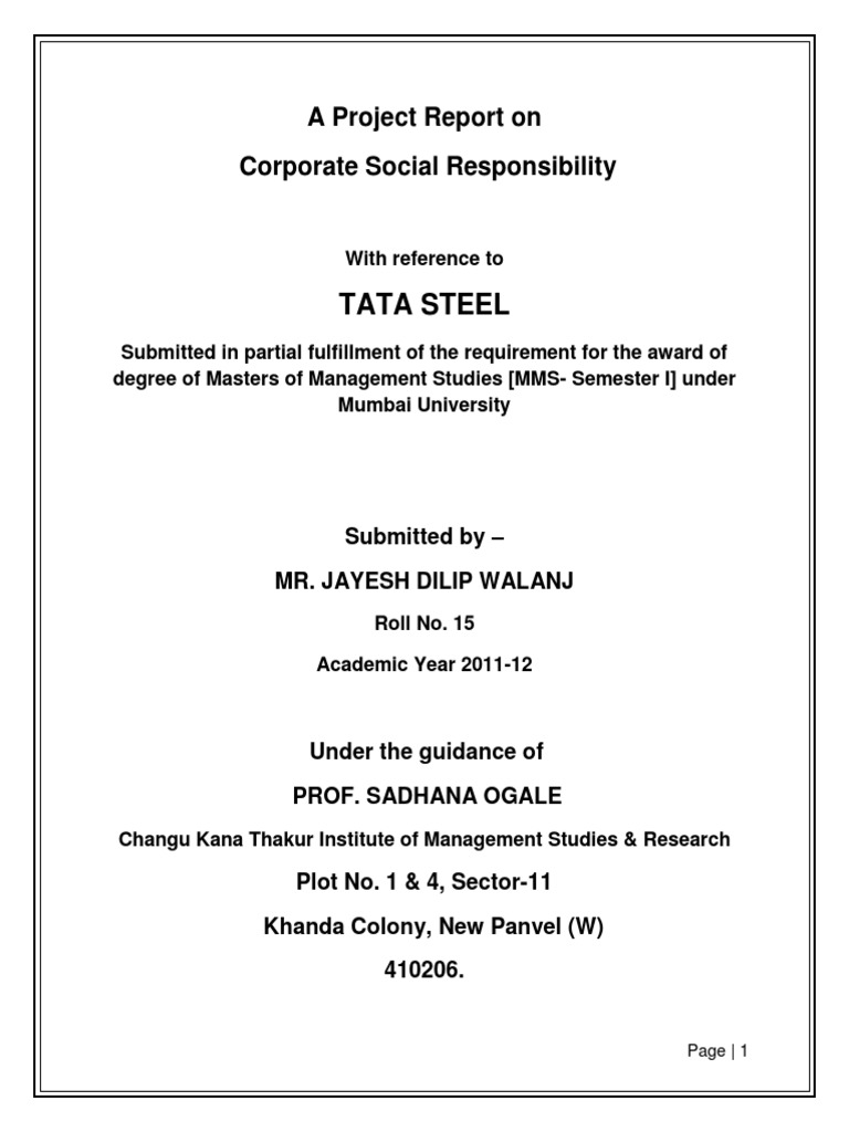 Project Report On CSR of Tata Steel | PDF | Corporate Social ...