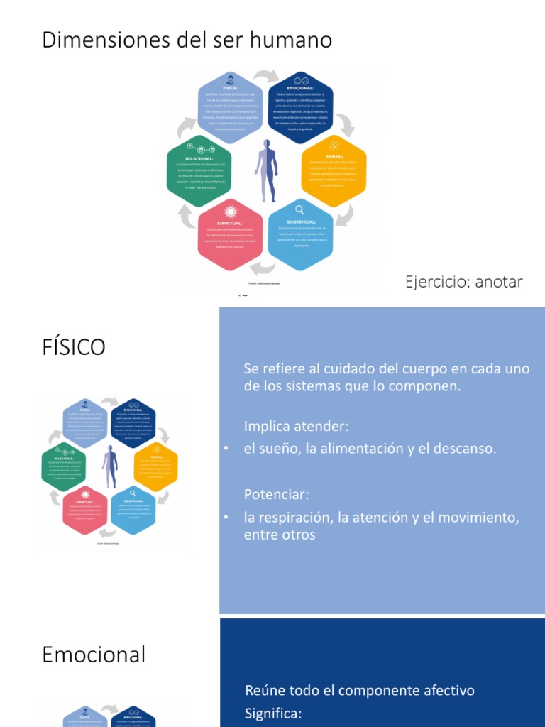 Dimensiones Del Ser Humano | PDF