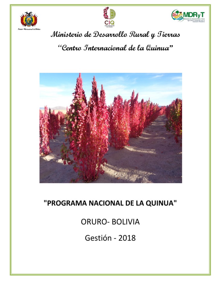 Programa Nacional de La Quinua - Borrador | PDF | Quinua | Bolivia
