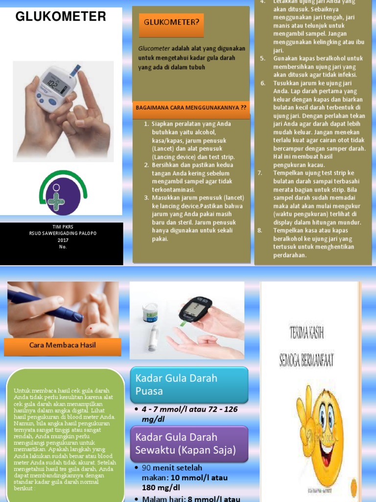 Leaflet Glucometer | PDF